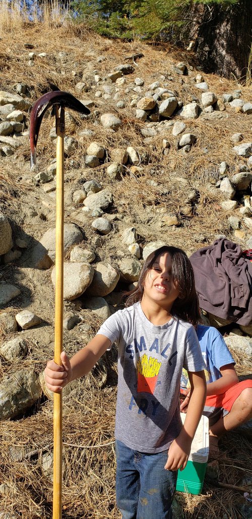 Washoe Tribe of NV & CA