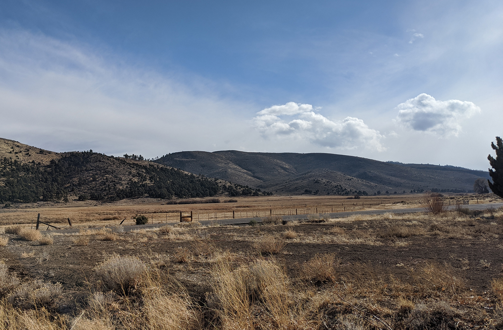 Washoe Tribe of NV & CA